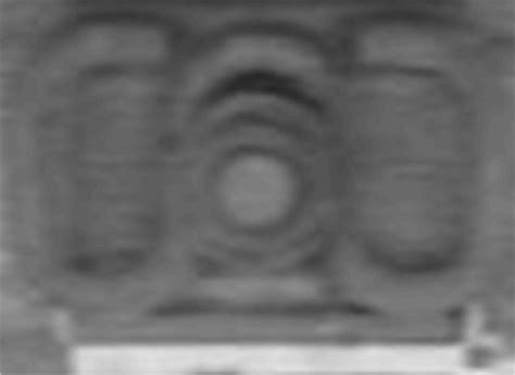 Simulation Of An Image With A Motion Blur Download Scientific Diagram