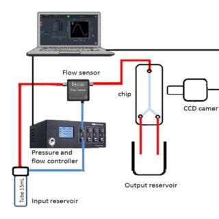 Microfluidic Flow Experiment Schematic Download Scientific Diagram