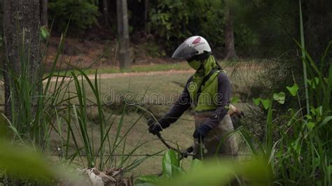 Woman Gardener Cutting Grass Stock Footage Video Of Environment Tree