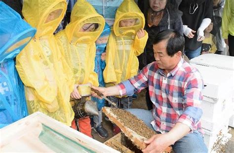 세종시 시민 체험양봉장 개장 아주경제