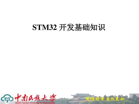 第4章stm32开发基础知识详解 word文档在线阅读与下载 无忧文档