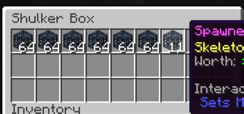 Donut Smp 300 Skeleton Spawners In Donut Smp Minecraft 1 00 Per