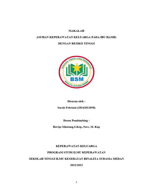 Askep Keperawatan Pada Ibu Hamil Dengaan Resiko Tinggi Sarah Pdf