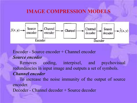 Fundamentals And Image Compression Models Pptx Data Storage And