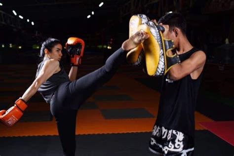 Muay Thai Class Private Class Quality Thai Guide