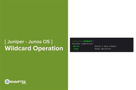 Cara Penggunaan Wildcard Operations Di Junos Cli