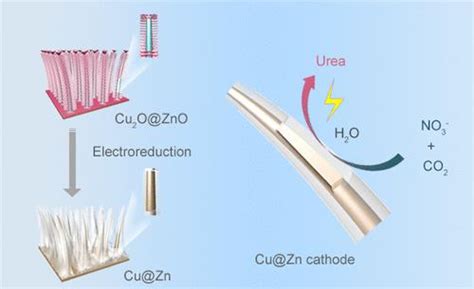 Cu Zn Acs Nano X Mol