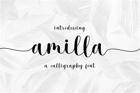 Amilla Font · 1001 Fonts