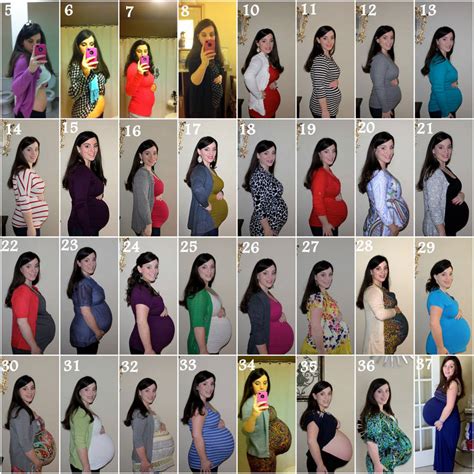 Twin Belly Progression By Ericasmall39 On Deviantart
