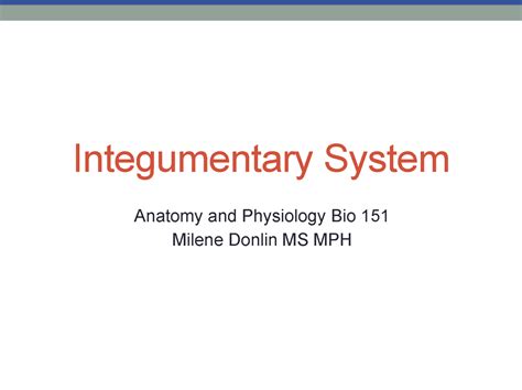 Chapter 5 Integumentary System SP22 Integumentary System Anatomy And Physiology Bio 151