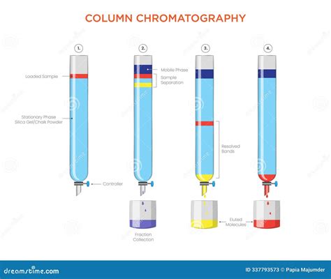 efficient separation technique column chromatography stock vector