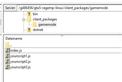 RageMP Installation Of Packages ZAP Hosting Docs
