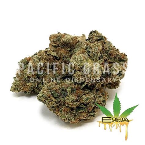 Buy Enigma Extracts Cali OG Online In Canada Pacific Grass