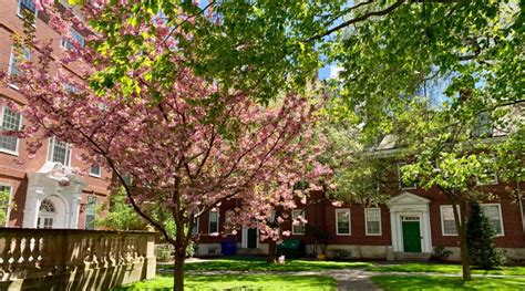 New Harvard College Admissions Data Harvard Faculty Of Arts And Sciences