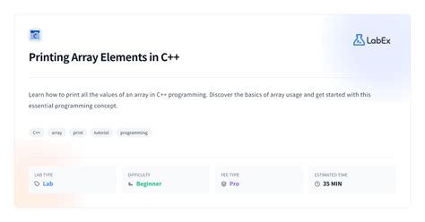 C 배열 출력 튜토리얼 프로그래밍 기초 Labex