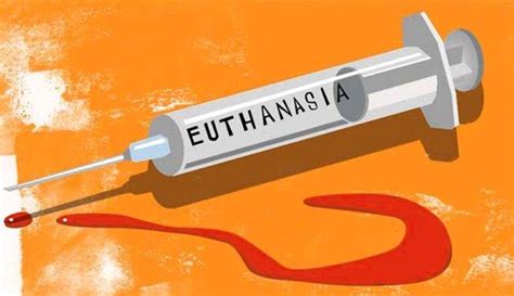 Legality Of Euthanasia In The Usa Law Column