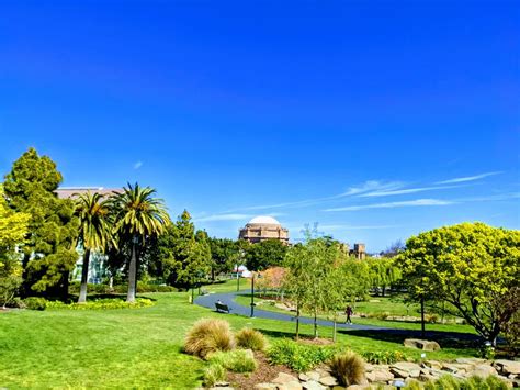 Scavenger Hunt Walking Tours San Francisco Presidio Updated