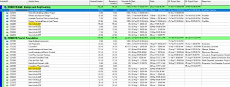 Importing And Exporting With Excel And Primavera Leopard Project Controls