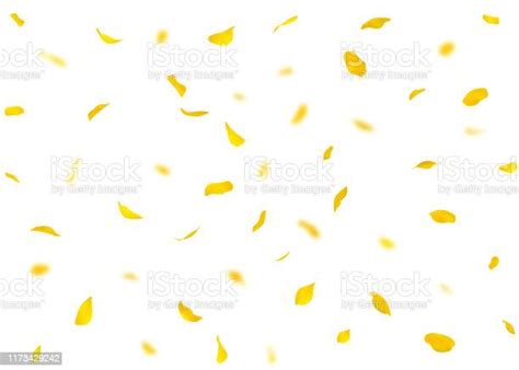 발렌타인 데이 배경 또는 장미 꽃잎으로 만든 카드 배경에는 장미 꽃잎이 흐려져 있습니다 꽃잎에 대한 스톡 사진 및 기타 이미지 꽃잎 노랑 떨어짐 Istock