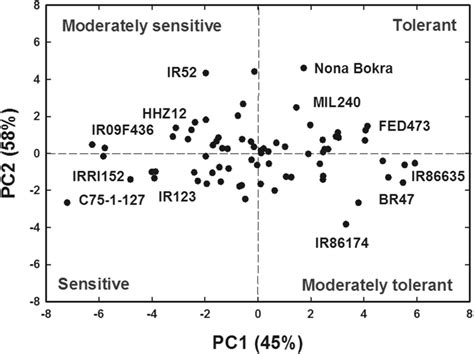 Principal Component Analysis Pca For The First Two Principal