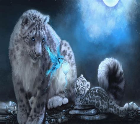ユキヒョウ、青、猫、ヒョウ、ライオン 高画質の壁紙 Pxfuel