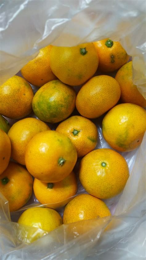 高校文化祭 おうちにかえろうっと！