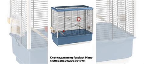 Клетка для попугая купить в Санкт-Петербурге | Животные и зоотовары | Авито