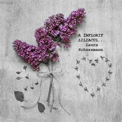 Prietena Parfum De Liliac