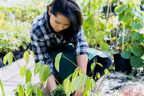 Careers In Horticulture Industry At Charles Betz Blog
