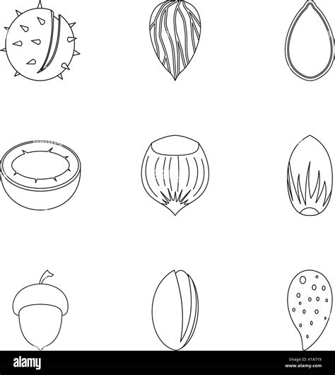 Eco Nuts Icon Set Outline Style Stock Vector Image And Art Alamy