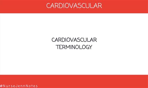 Medical Terminology Flashcards Cardiovascular Etsy
