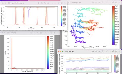 DeepLabCut Docs Beginner Guides Video Analysis Md At Main DeepLabCut DeepLabCut GitHub