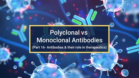 Polyclonal Vs Monoclonal Antibody