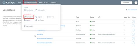 Setup NetSuite Connection In Integrator Io Nova Module Help