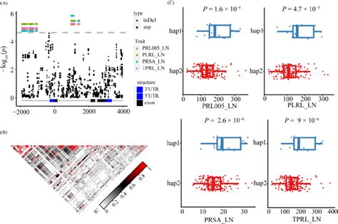 Candidate Gene Association Analysis And Haplotype Analysis Of Zmnac36