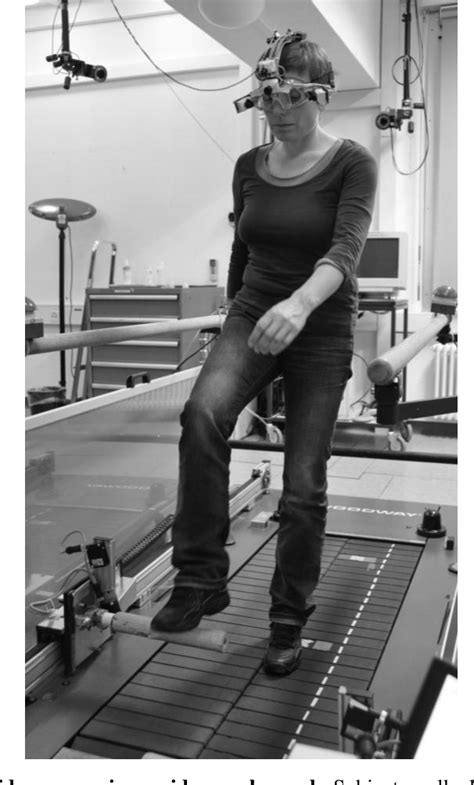 Figure 1 1 From Human Gaze Control During Walking Over Obstacles Semantic Scholar