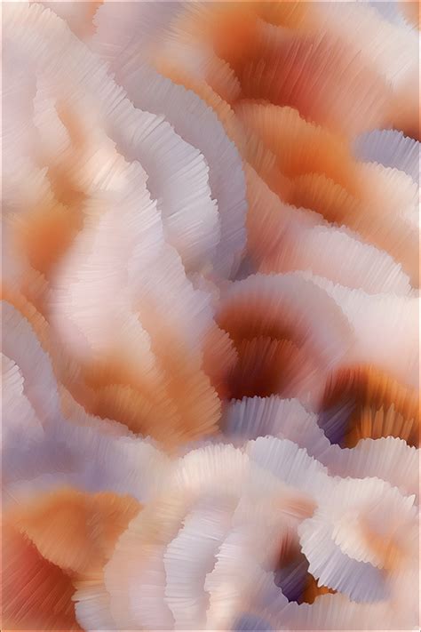 Flitter Flutter Rectangle Moooi Carpets