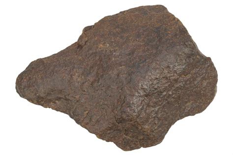 29 Chondrite Meteorite 160 G Western Sahara Desert 233187 For