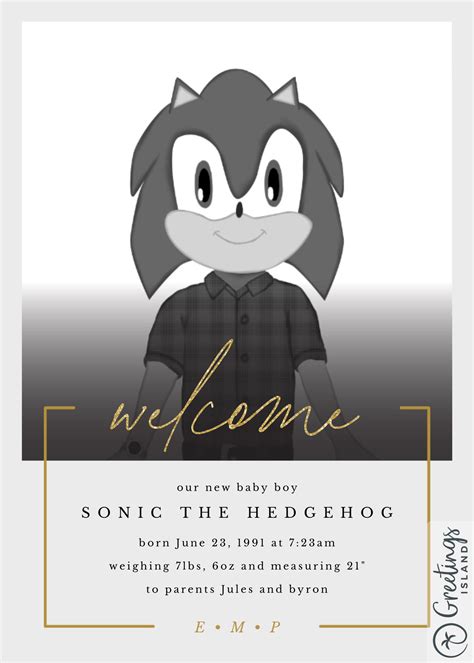 Sonic The Hedgehog Birth Announcement By Thespacebotsfan1986 On Deviantart
