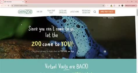 Video Disha Seth On Linkedin Htmlcssmagic