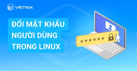 Bash Là Gì 3 Thao Tác Thực Hiện Bash Trên Linux Cơ Bản Nhất