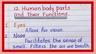 Human Body Parts Name And Their Functions In English Doovi