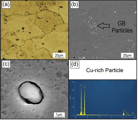 A Lom And B Fesem Micrographs Showing The Microstructure Of The