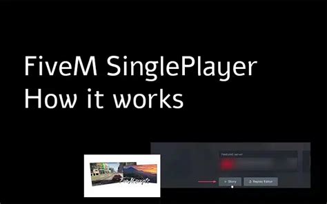 How To Use Fivem Single Player Tutorials Guides
