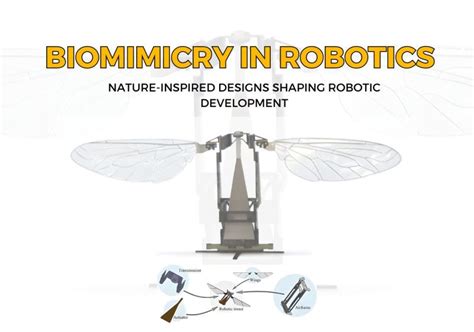 Learn About Biomimicry In Robotics Eminence Innovation Posted On The