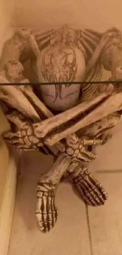 Skeleton Corner Art Design Free Download