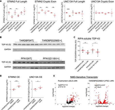 Ipsc Motor Neurons But Not Other Derived Cell Types Capture Gene