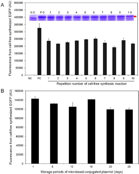 Stable Maintenance Of The Functional Integrity Of The Download