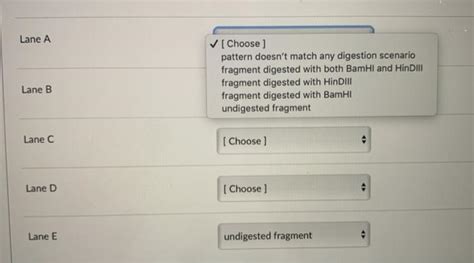 solved a 10 kb fragment of dna has a bamhl restriction