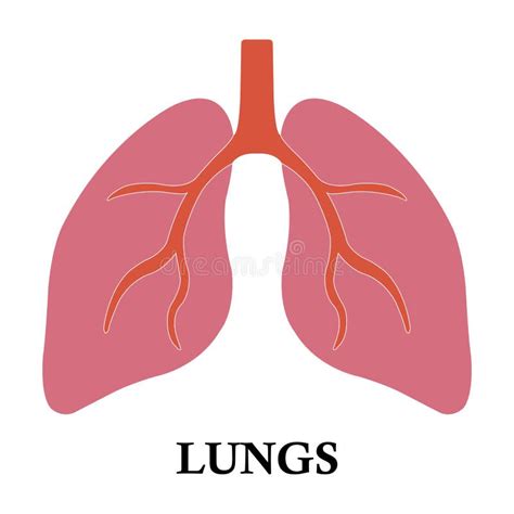 Lung Icon Stock Vector Illustration Of Breath Care 298925989